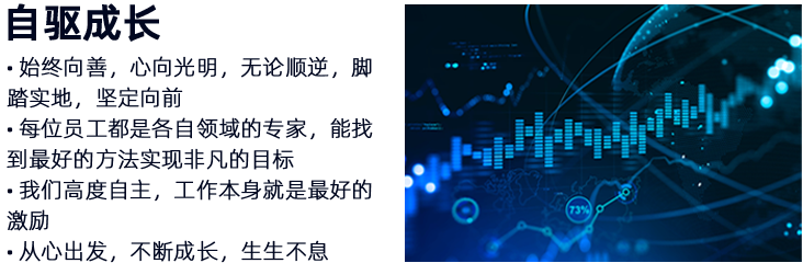 公司介绍 - 云合智网